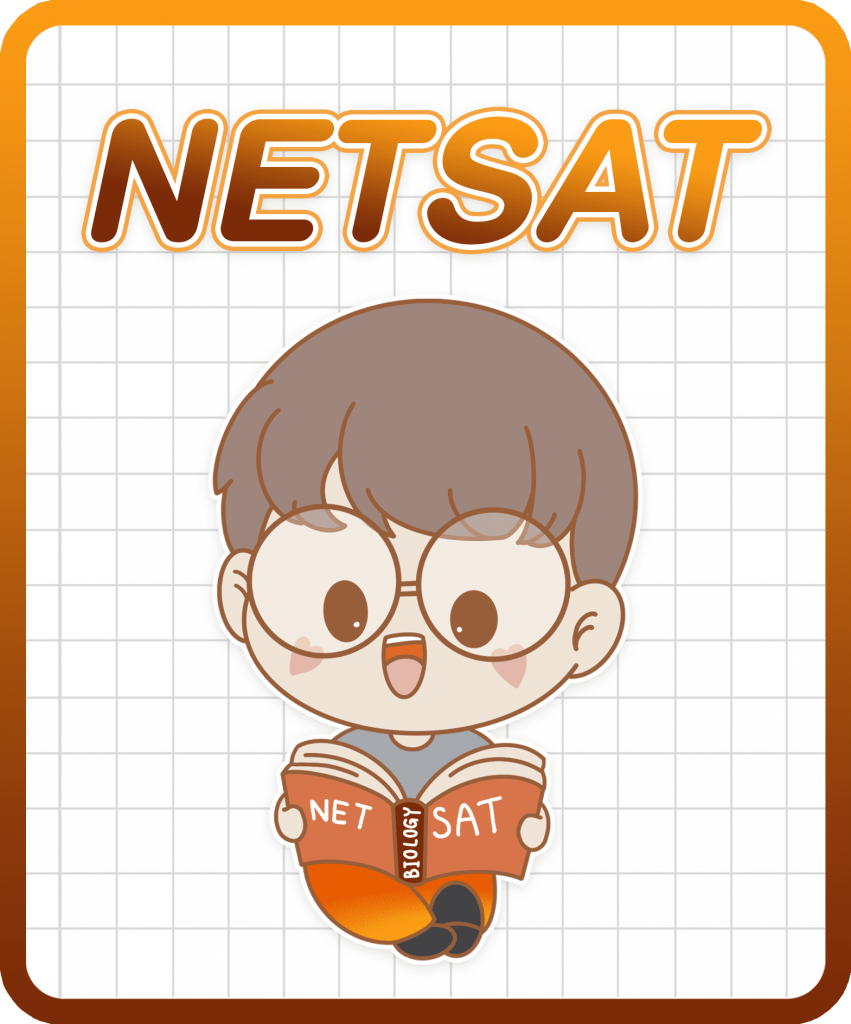 NETSAT - BPN ONLINE+